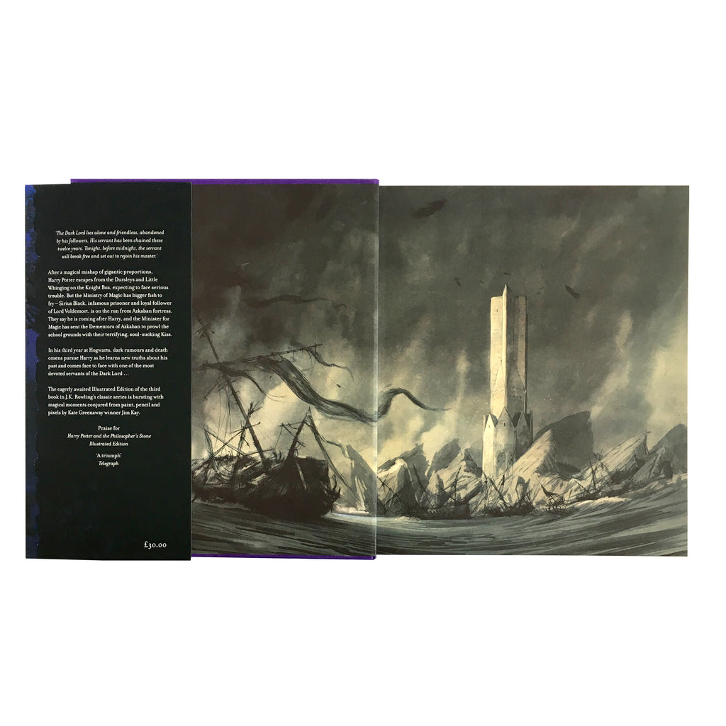 Harry Potter and the Prisoner of Azkaban Illustrated Edition – Curiosa ...