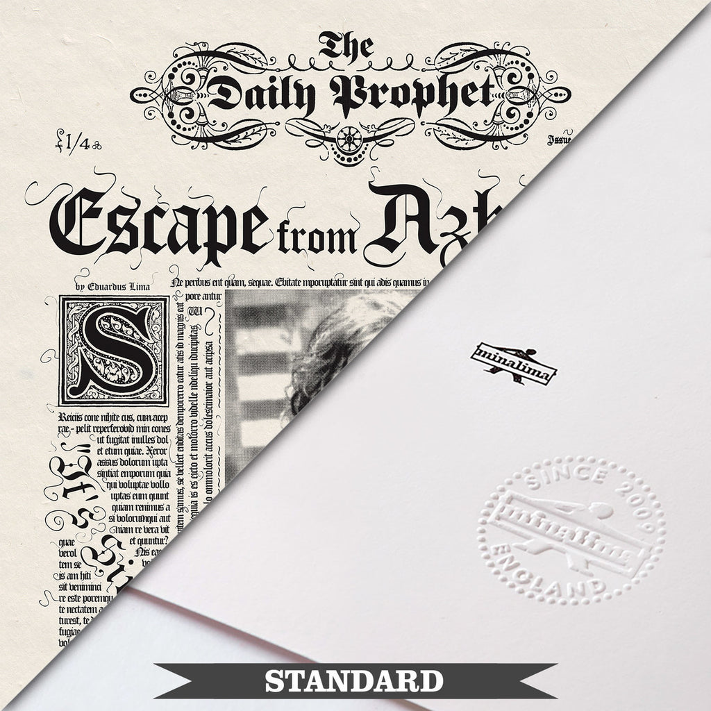 The Daily Prophet - Escape from Azkaban! Limited Edition Art Print ...